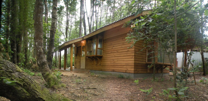 Cozy Cottage Surrounded By Valdivian Forest. - Los Ríos