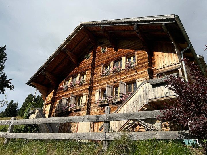 Hazel - Lenk im Simmental