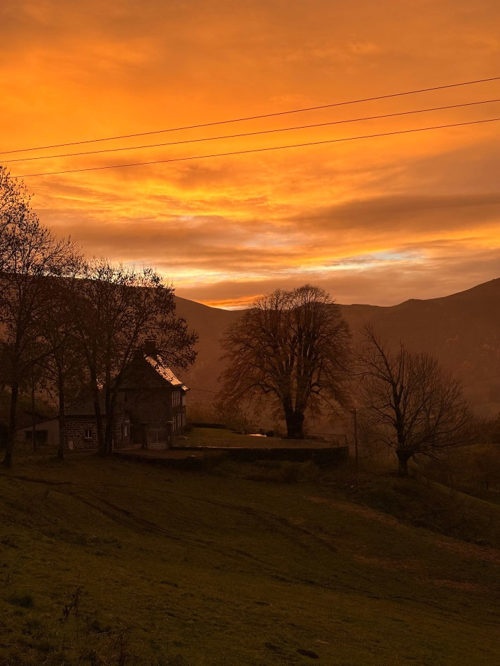 Gîte Chaleureux, Entre Salers Et Le Puy Mary ! - Cantal