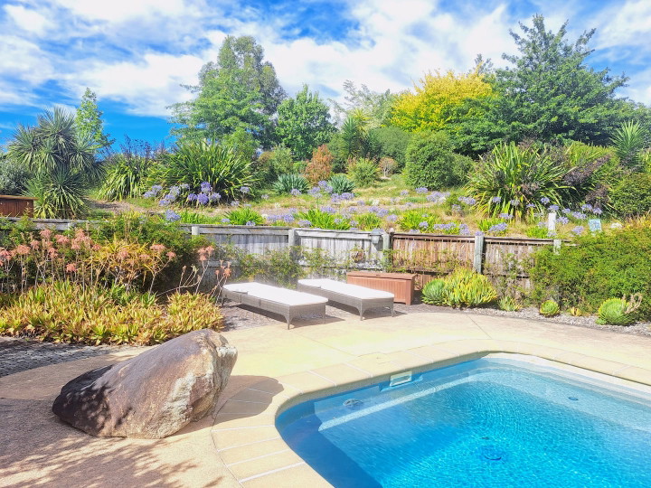 Golden Hills Farm - Great Views Plus Swimming Pool - New Zealand