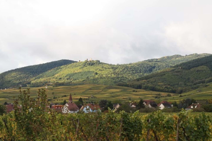 Le Holandsbourg - Alpes