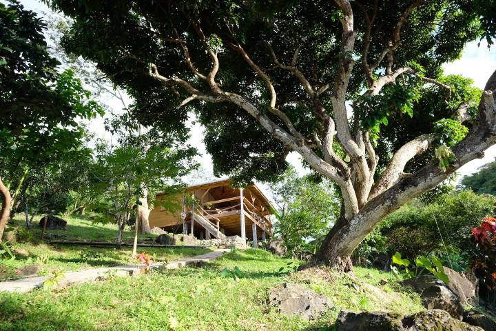 The Tree House, Crayfish Bay Organic Estate - Grenade