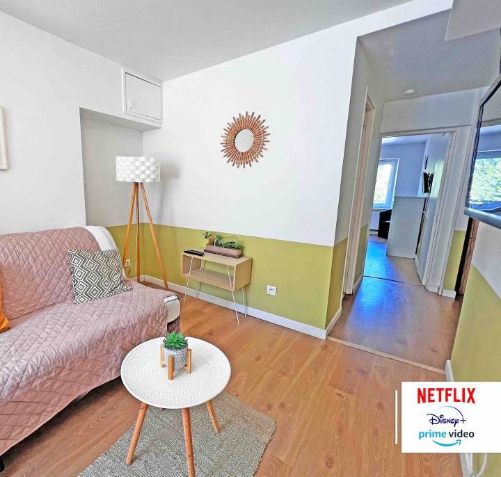 Cozy Apartment, Nancy Center - Nancy