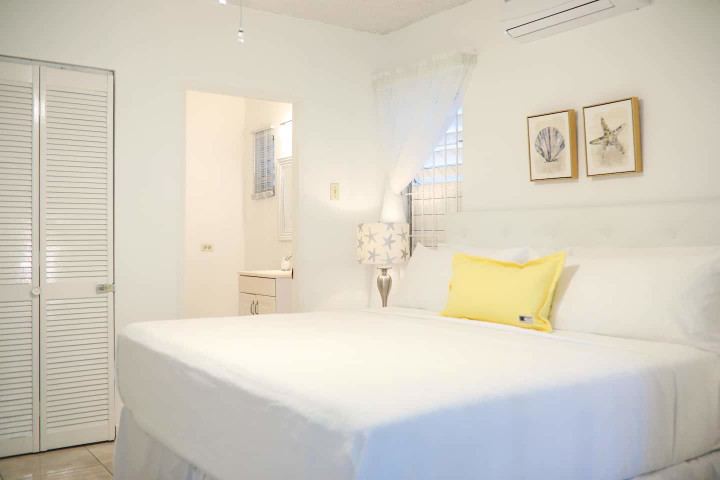 New Kingston's Deluxe Apartment - Kingston