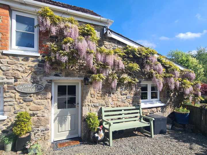 Bloomfield Cottage, Sticklepath. - Dartmoor Forest