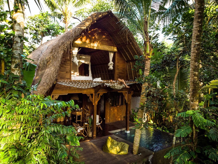 Lumbung, Private Pool Tiny Treehouse - Ubud