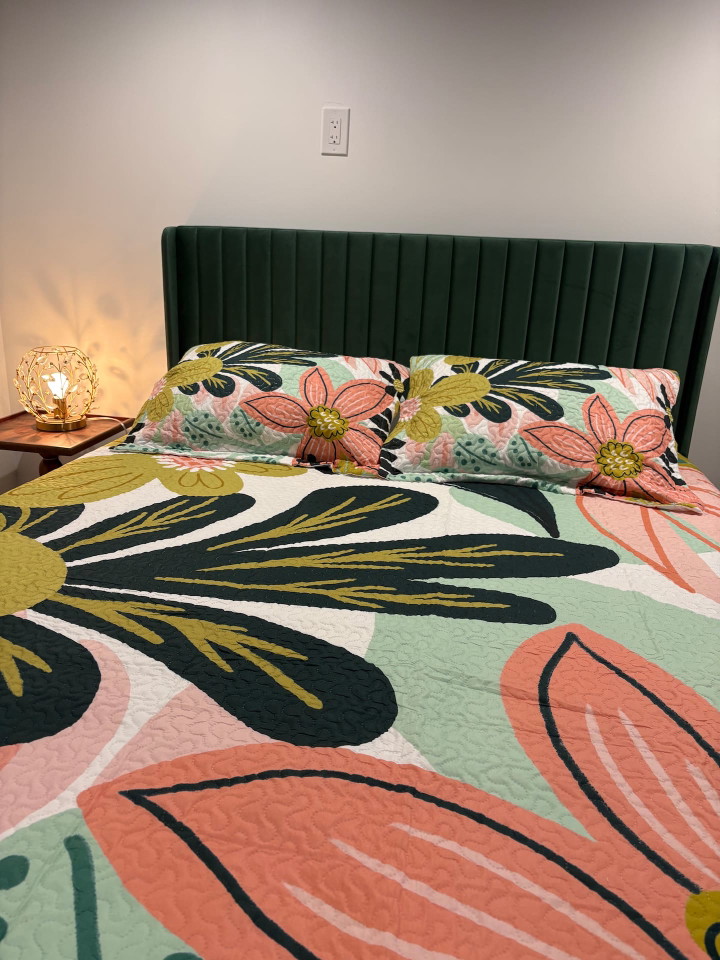 Garden Level Apt In Boston Edison (Near Midtown) - Detroit