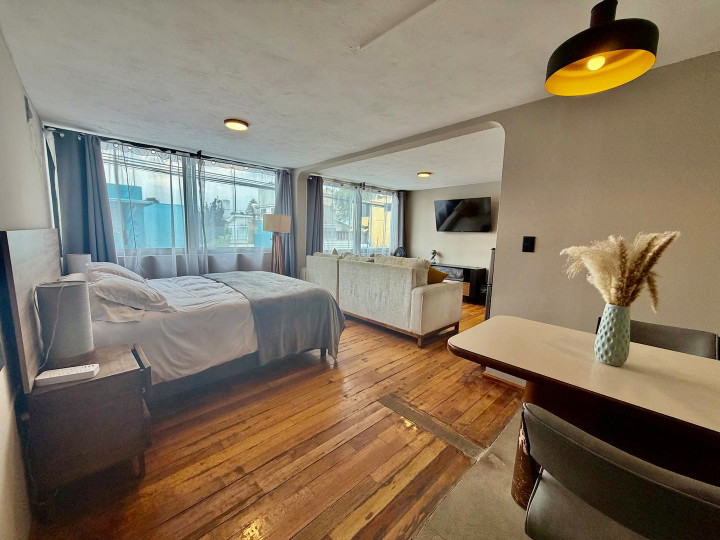 Beautiful Loft-style Apartment, Downtown Toluca - Toluca