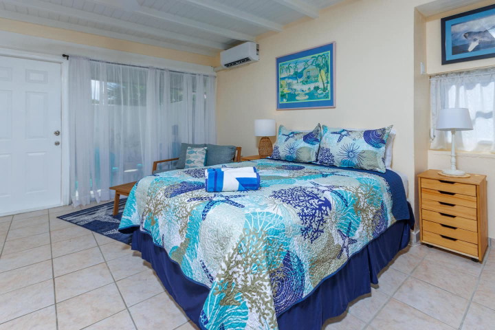 Pineapple Parrot, Apartment - Saint Thomas