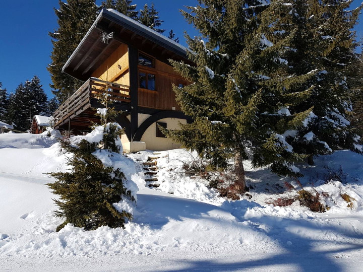 Chalet  Ski Au Pieds 12 Pers Doucy/valmorel - Trois Vallées