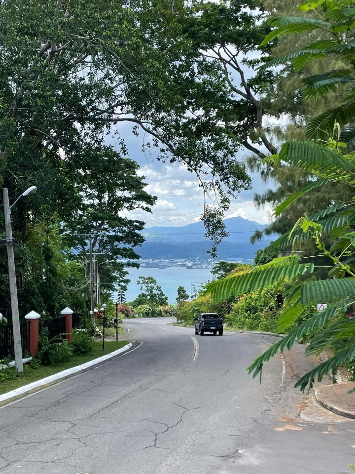 Classy Pet-friendly 1br W/ Netflix At Subic's Peak - Subic Bay Freeport Zone