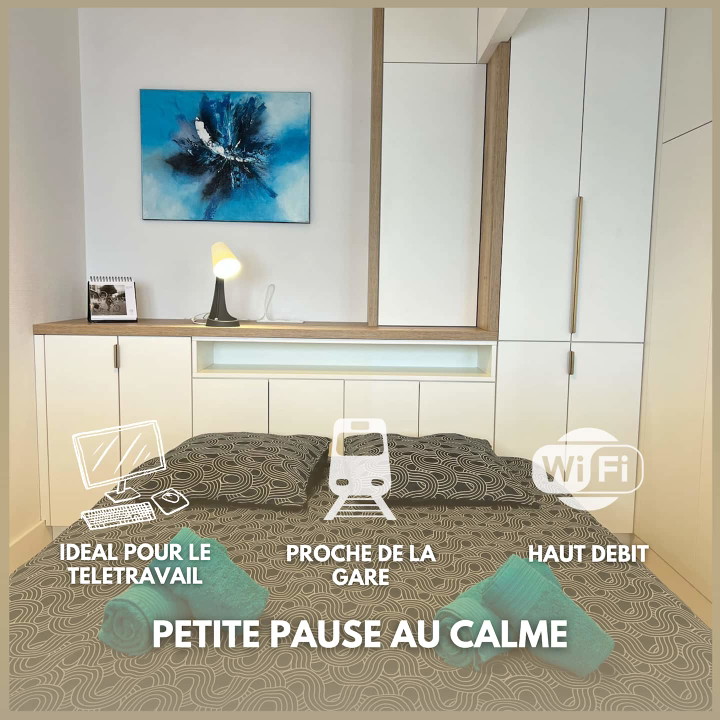 Studio Cosy Proche De La Gare, Idéal Télétravail - Altkirch