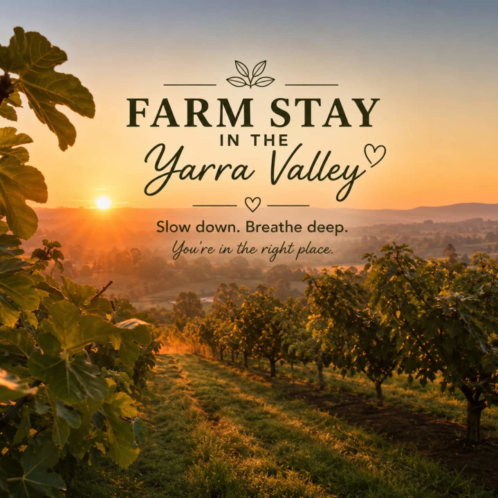 Cherry Orchard Cabin - Yarra Valley Farm Stay - Victoria