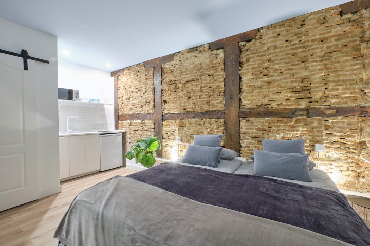 Perfect Location-plaza Mayor-wifi-a/c-smarttv - Madrid