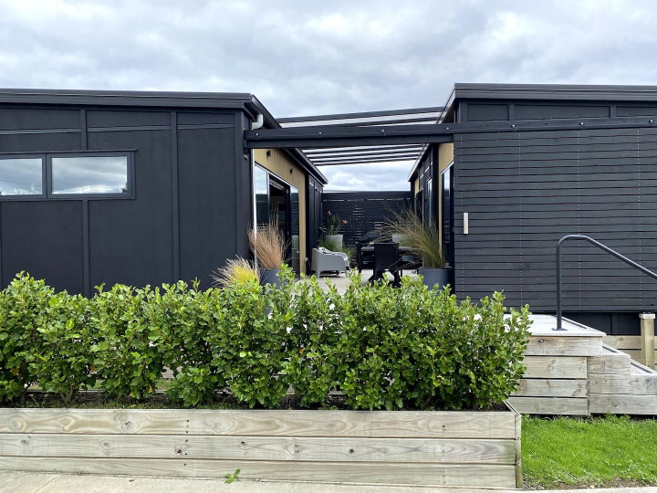 2 Black Pods By The Sea - Waihi