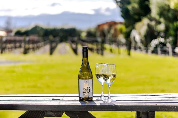 Luxury Gatehouse On 26 Rows Vineyard - Martinborough