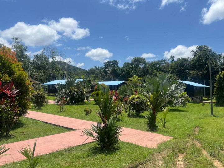 Gîte Des Flamboyants Orion Pk 14 - French Guiana