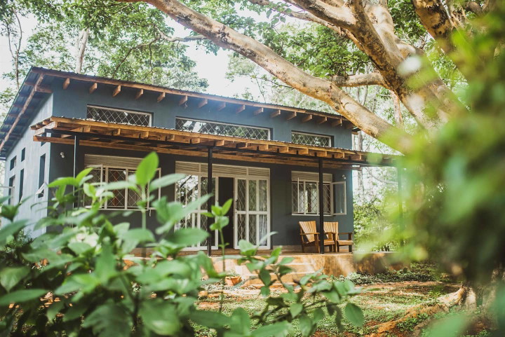 Garden Cabin On The Nile - African Grey - Uganda