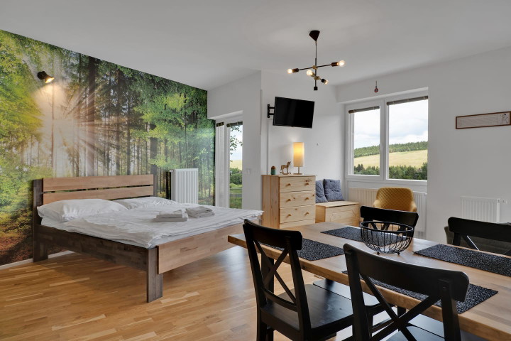 Studio Apartment Meadows 182/apt 2 - Fichtelberg