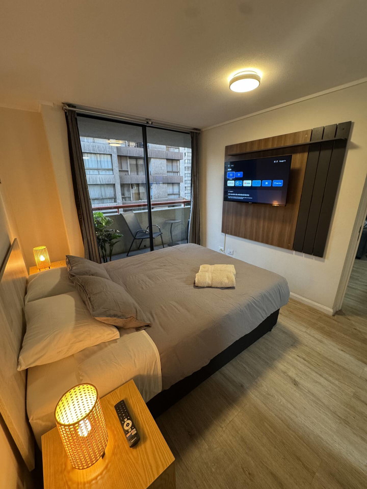 Moderno Departamento Centro Histórico Con Terraza - Santiago
