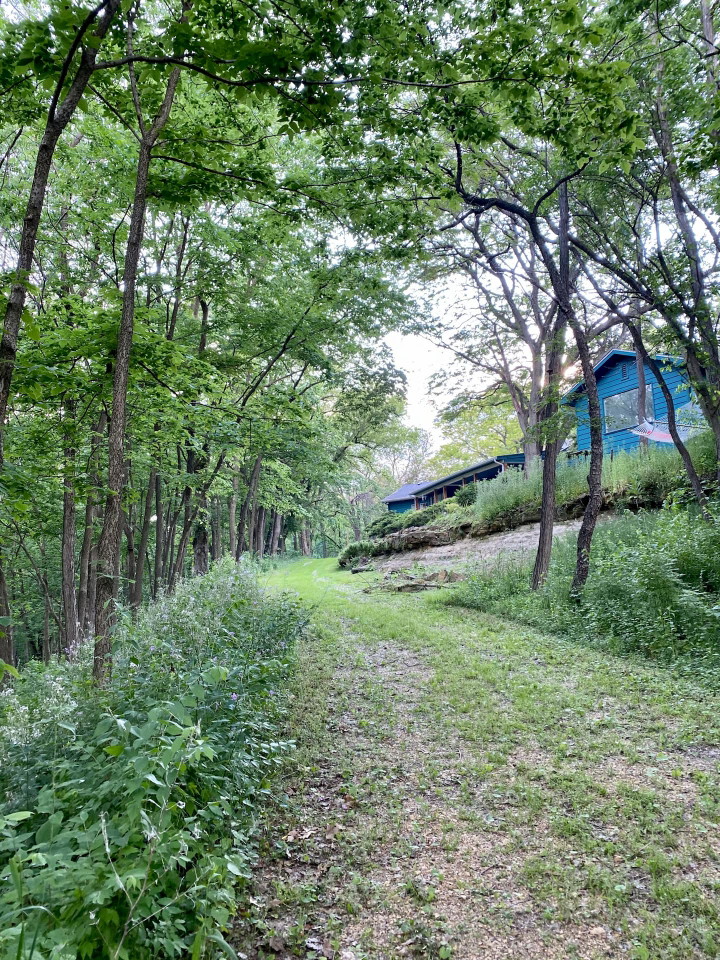 Spacious Hillside Home Overlooking Private Woods - 伊利諾伊州