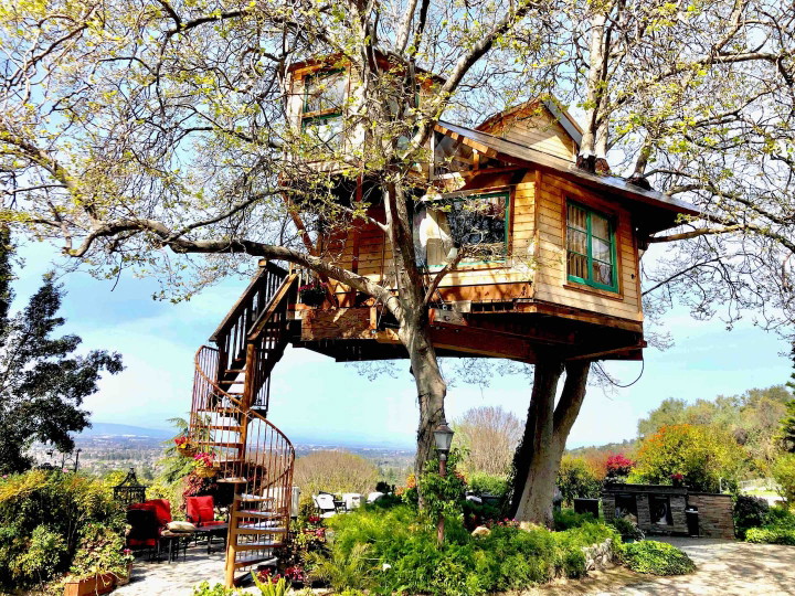 Treehouse , San Jose - San José