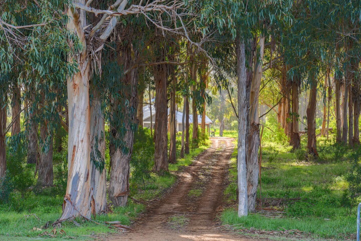 Tall Timbers Home Of Pink Lake - Esperance