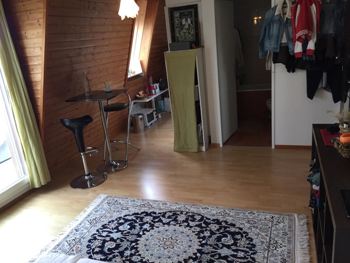 Charmant Studio, Emplacement Idéal (Lausanne)! - Lausanne