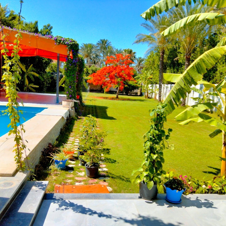Two Pools Private Resort For Families . - Egypt