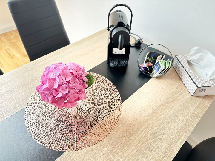 An Upscale Two-room Apartment - Frankfurt
