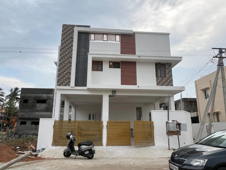 Daffodils, Born In An Accessible Location - Coimbatore