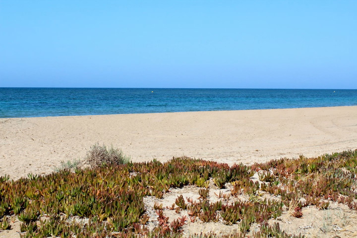 "New" Casita Azul - Dénia