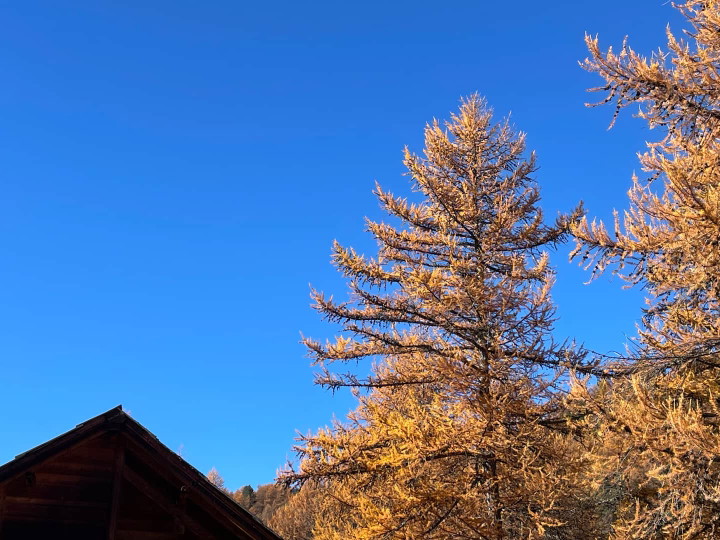 Chalet Vallée La Clarée Briançon Serre Chevalier - Bardonecchia