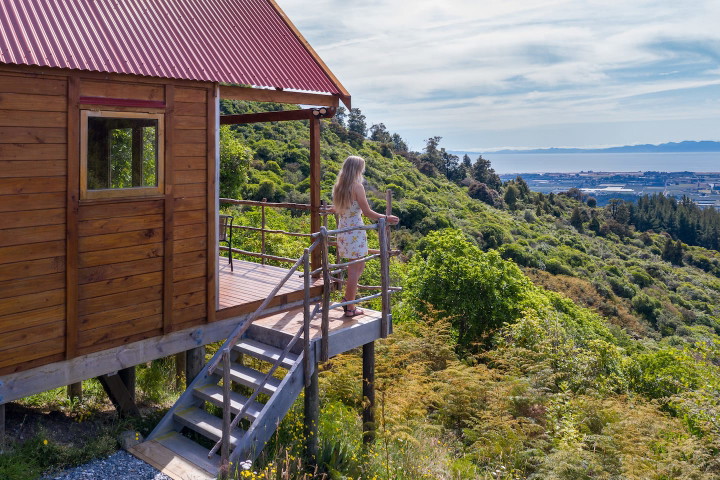 Tui's Secret - Private Peaceful Nature Retreat - New Zealand