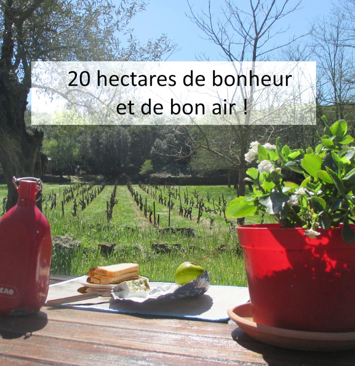 Gite Du Bonheur 2-4 Personnes - Saint-Jean-du-Gard