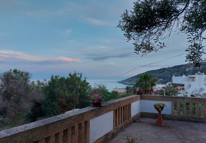 A Paradise 322 Steps From The Sea: Pure Relaxation - Tricase