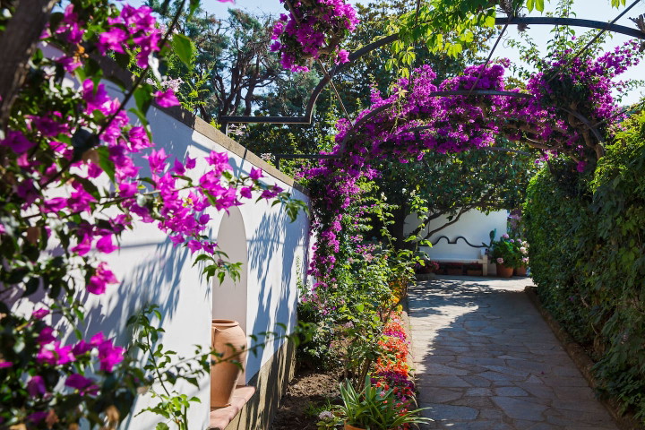 Silent Villa In Anacapri Center - Anacapri