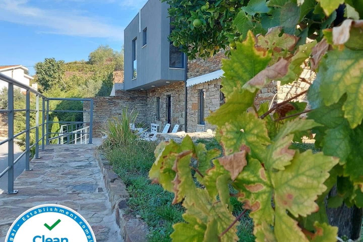 Soalheira Douro House - Pinhão