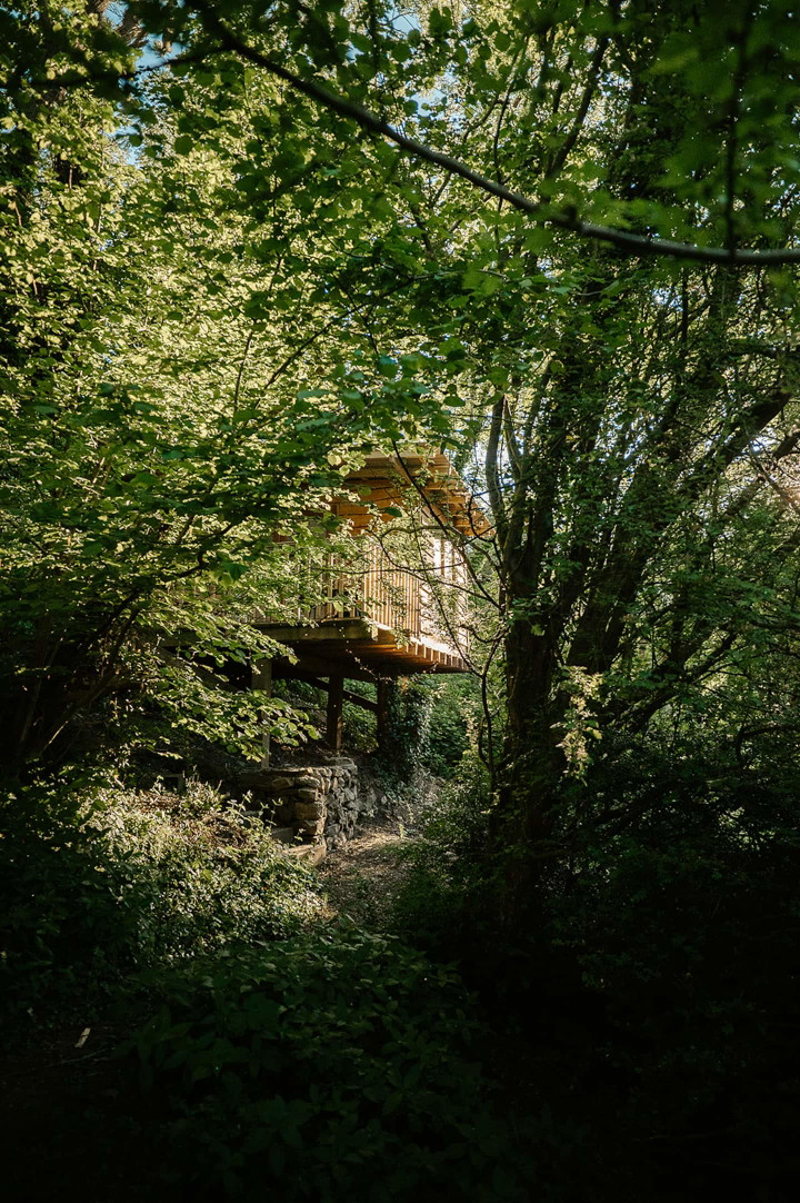Cabin In The Trees | Stay Wild | Kestrel - United Kingdom