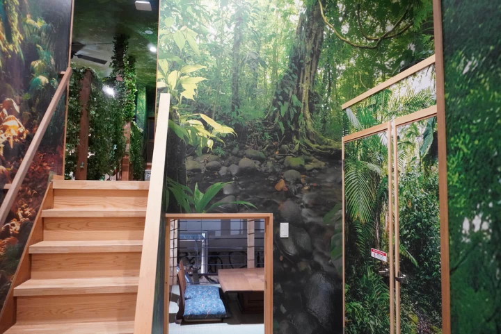 A Slightly Special Private Inn In Hida Takayama, Where Dinosaurs Greet You, And Which Can Accommodate 2 People. - Takayama