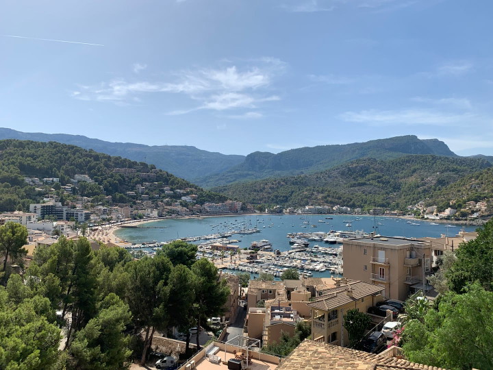 Flamenco - Port de Sóller