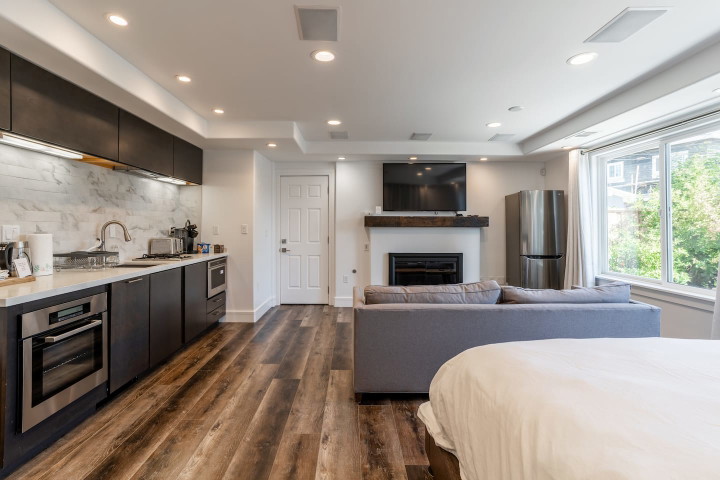 Large Luxury Studio With Private Entry, Fireplace - Fremont, CA