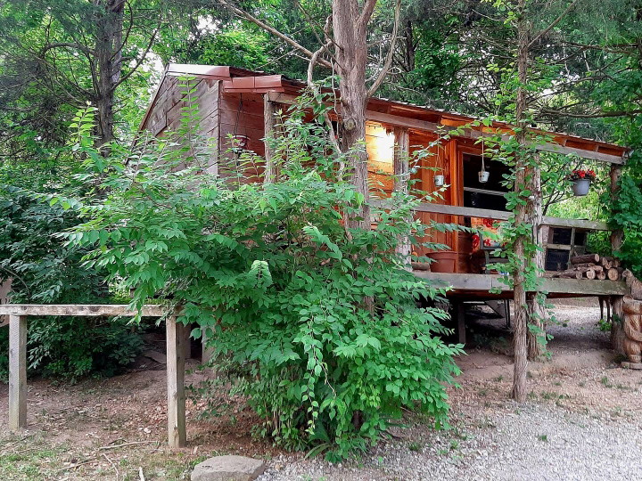 Wildvine Homestead / Cozy Cabin - Cookeville, TN