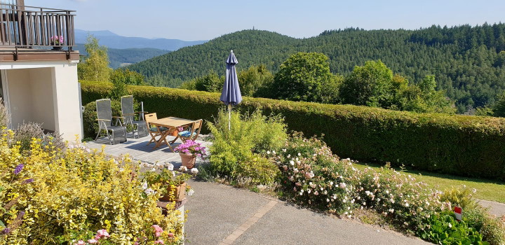 Charming Studio Equipped With Bathroom 29 M2 - Ammerschwihr