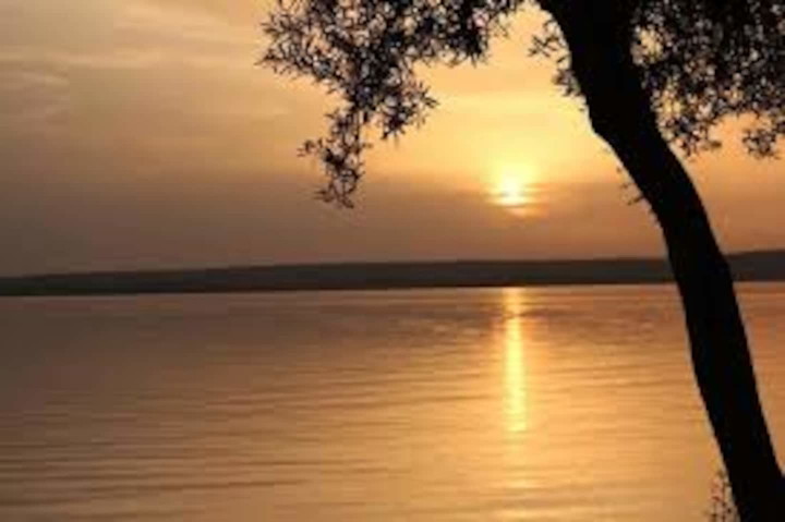 Didim White - Didim