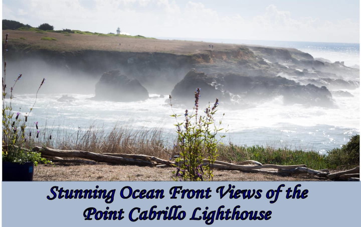 Ocean Dreams - Gorgeous Ocean Front Home With Stunning Views - Mendocino, CA