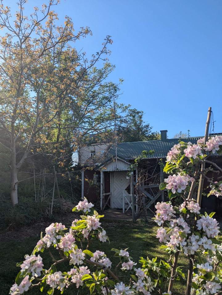 Cozy Red Cottage In Huge Garden With Workstation - Helsingborg