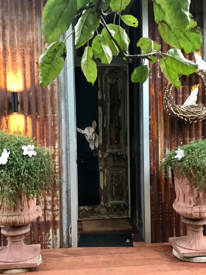The Stables; A Romantic, Private Getaway For Two - カトゥーンバ