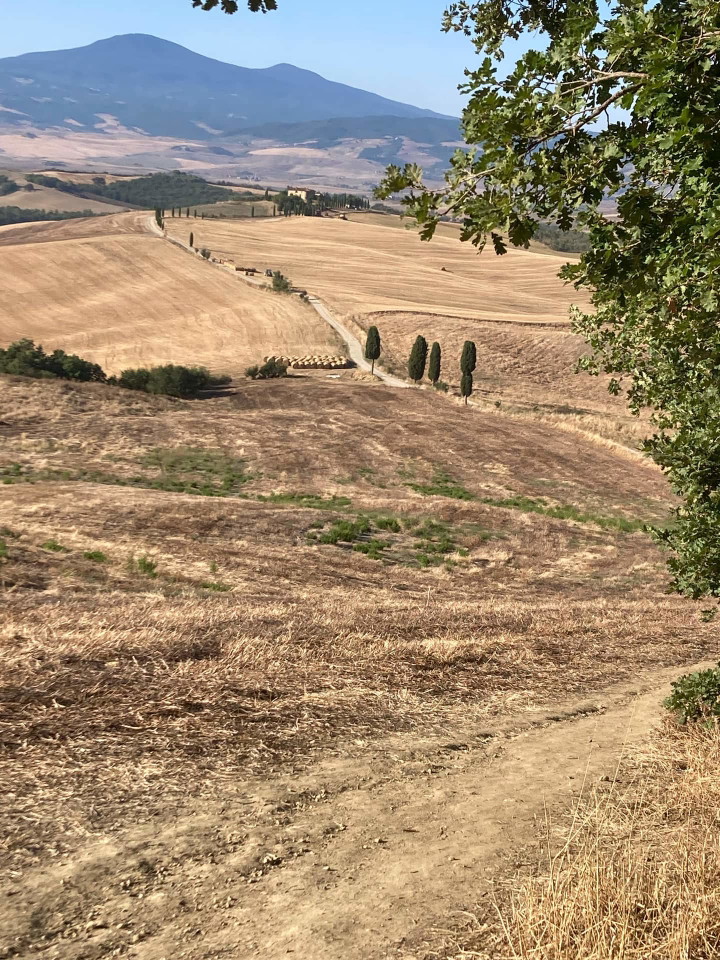 Pienza Apartment With Garden - Pienza