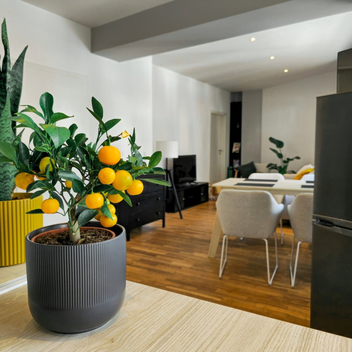 Nora One - In Traben-trarbach - Traben-Trarbach